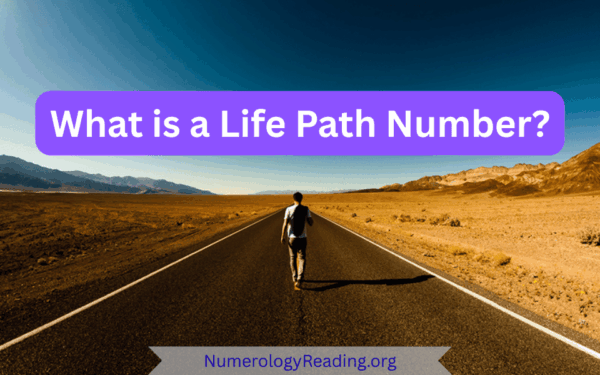 FREE Life Path Number Calculator – Find Your True Purpose