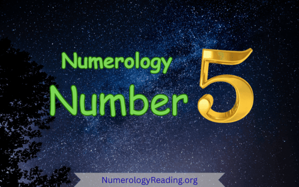 Numerology Number 5 Meaning – Traits & Personality
